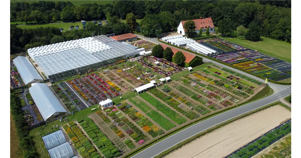 News and events - Volmary Ltd